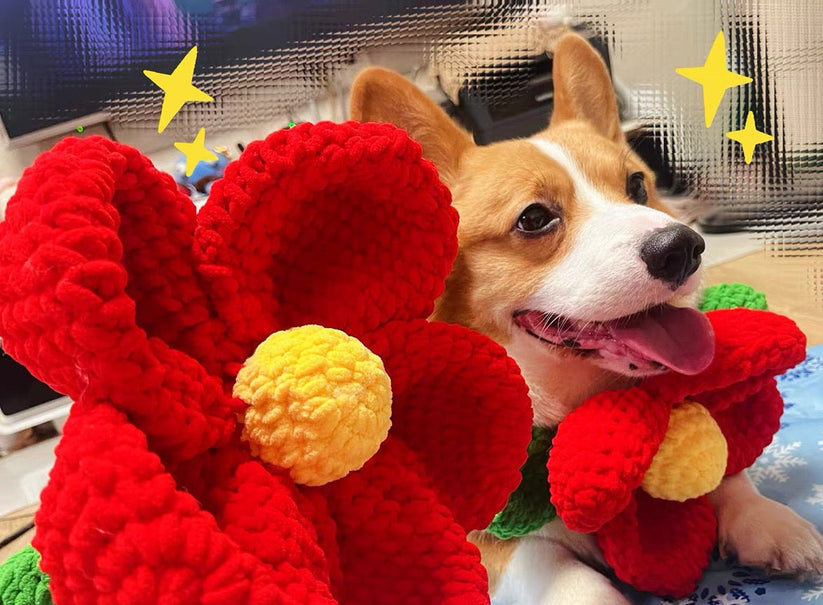 Mega flower pattern package( US terms) – lilyrosy